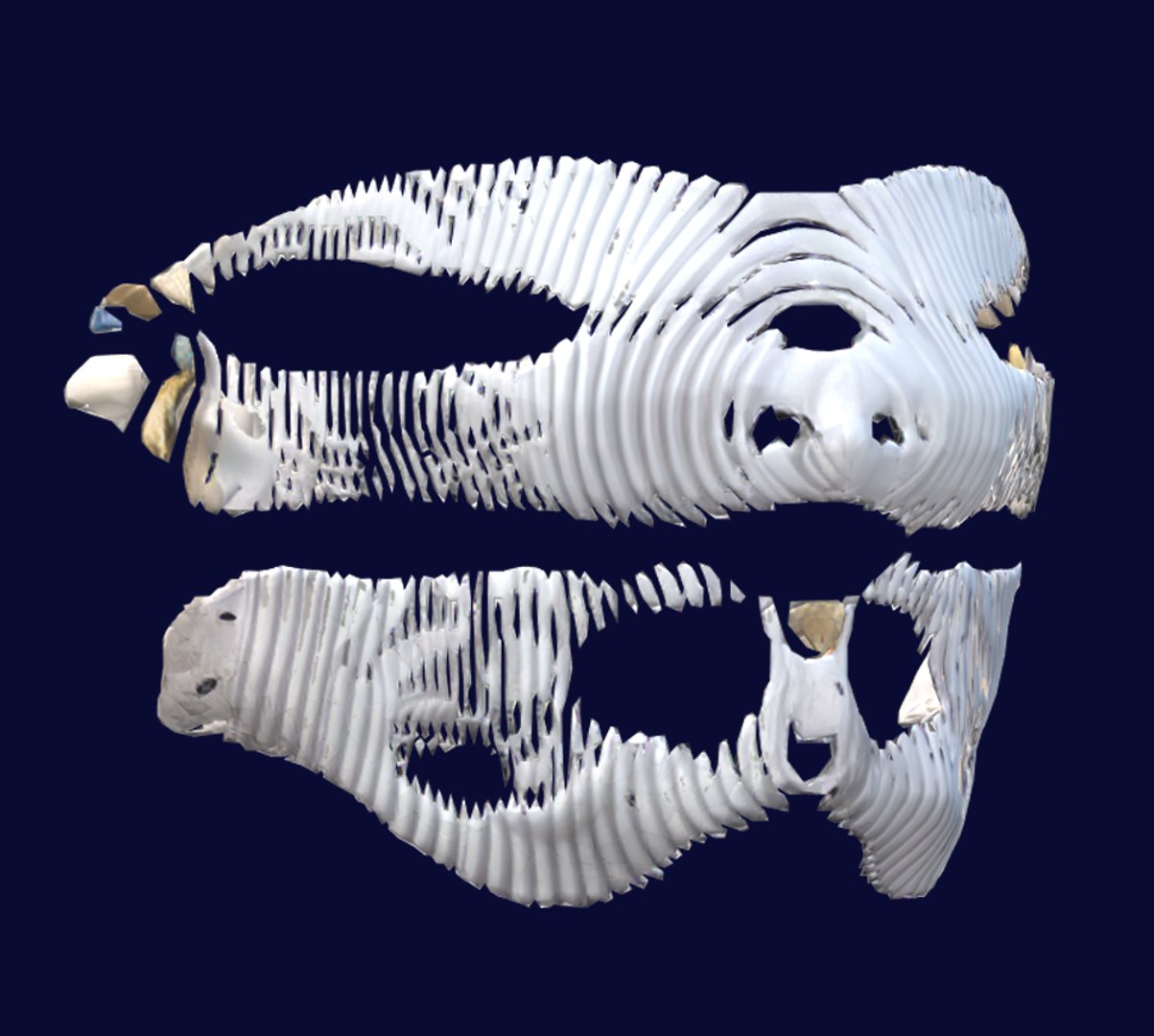 3D Bone Mask Model - TurboSquid 2145857