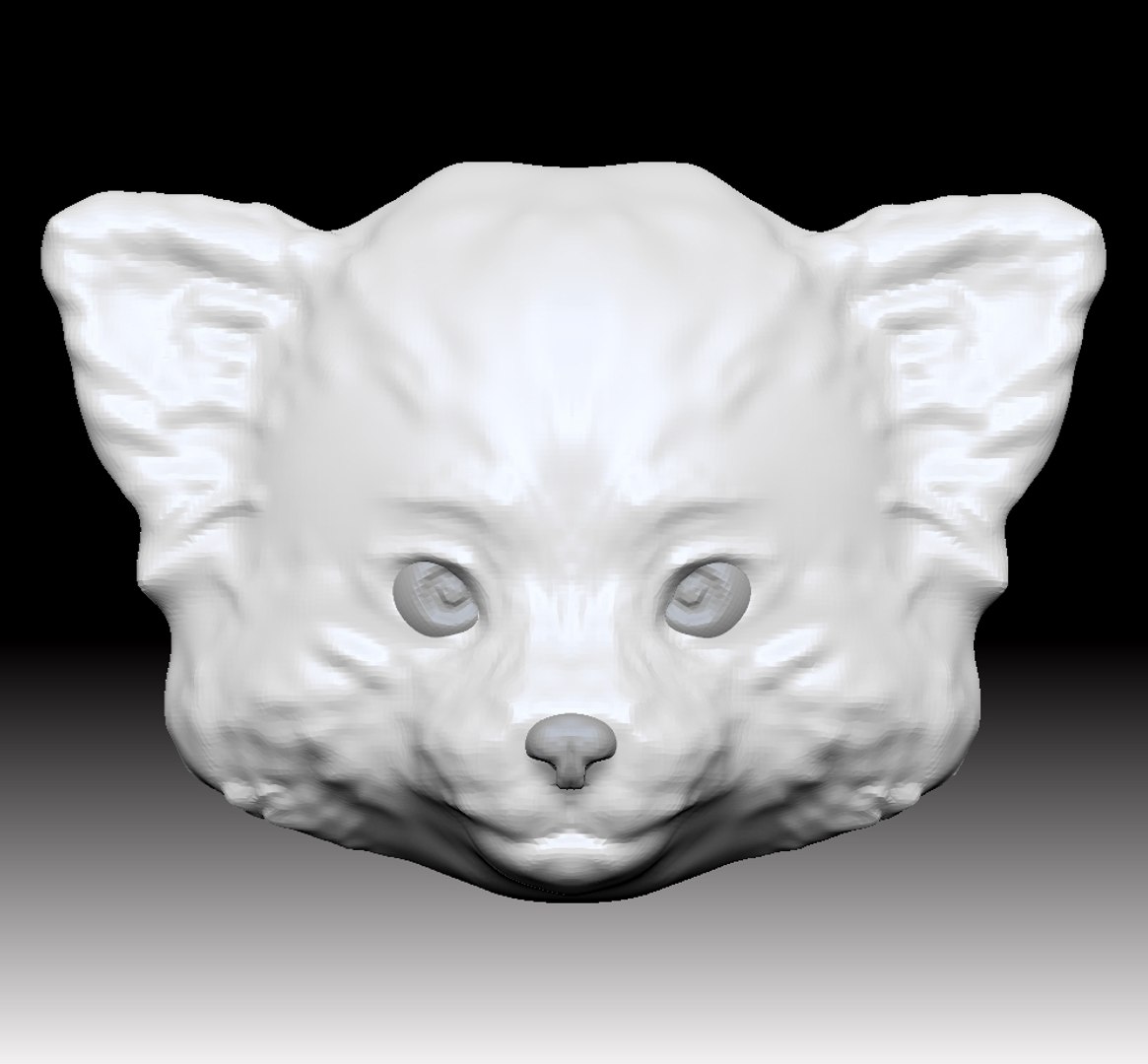3D Red Panda Head - TurboSquid 1231872