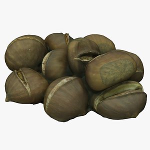 Chestnut OBJ Models for Download | TurboSquid