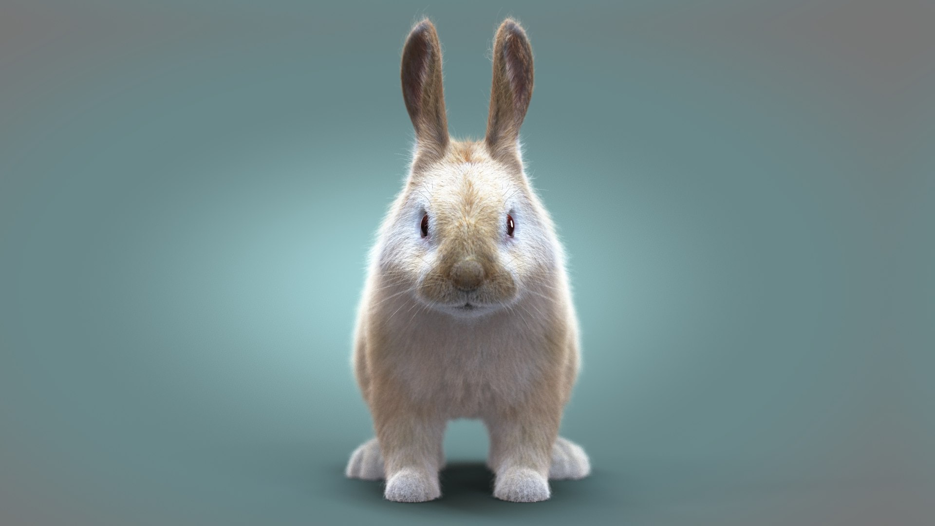 Rabbit Cream ANIMATED XGEN-CORE 2 3D Model - TurboSquid 2097389