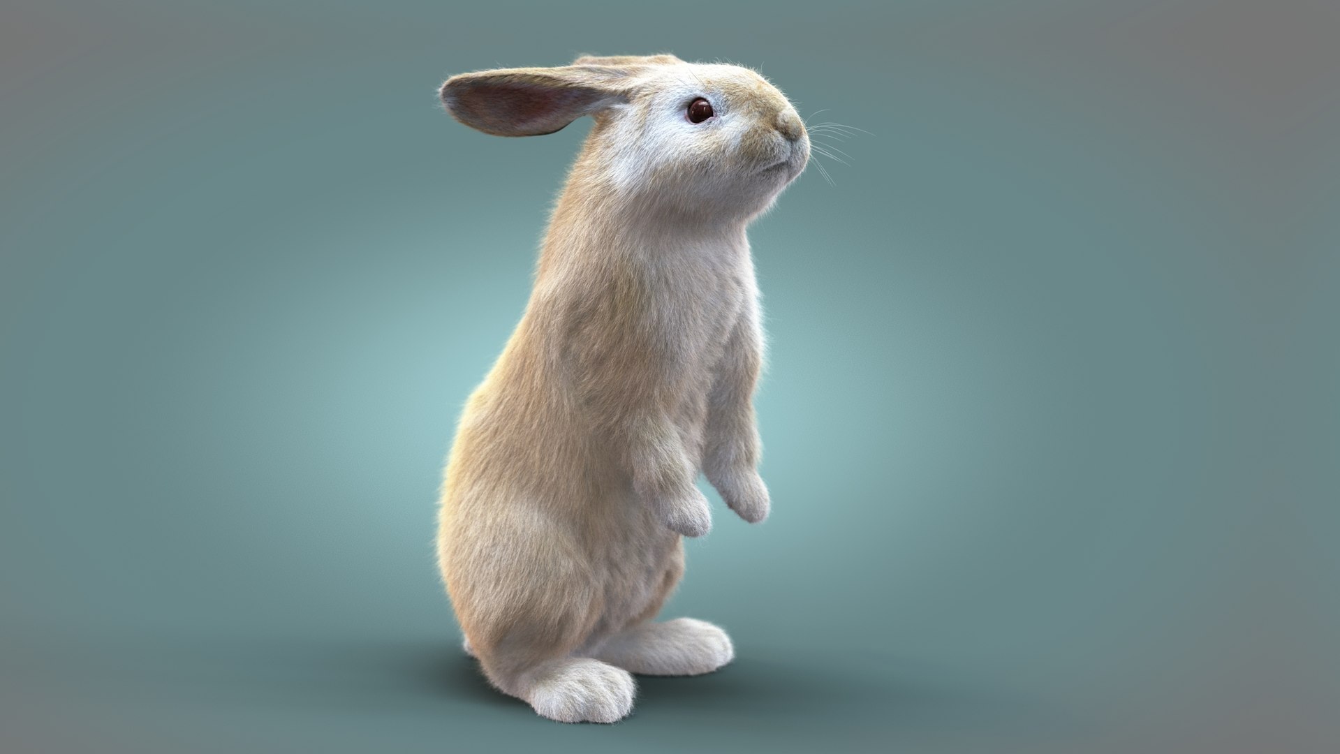 Rabbit Cream ANIMATED XGEN-CORE 2 3D Model - TurboSquid 2097389