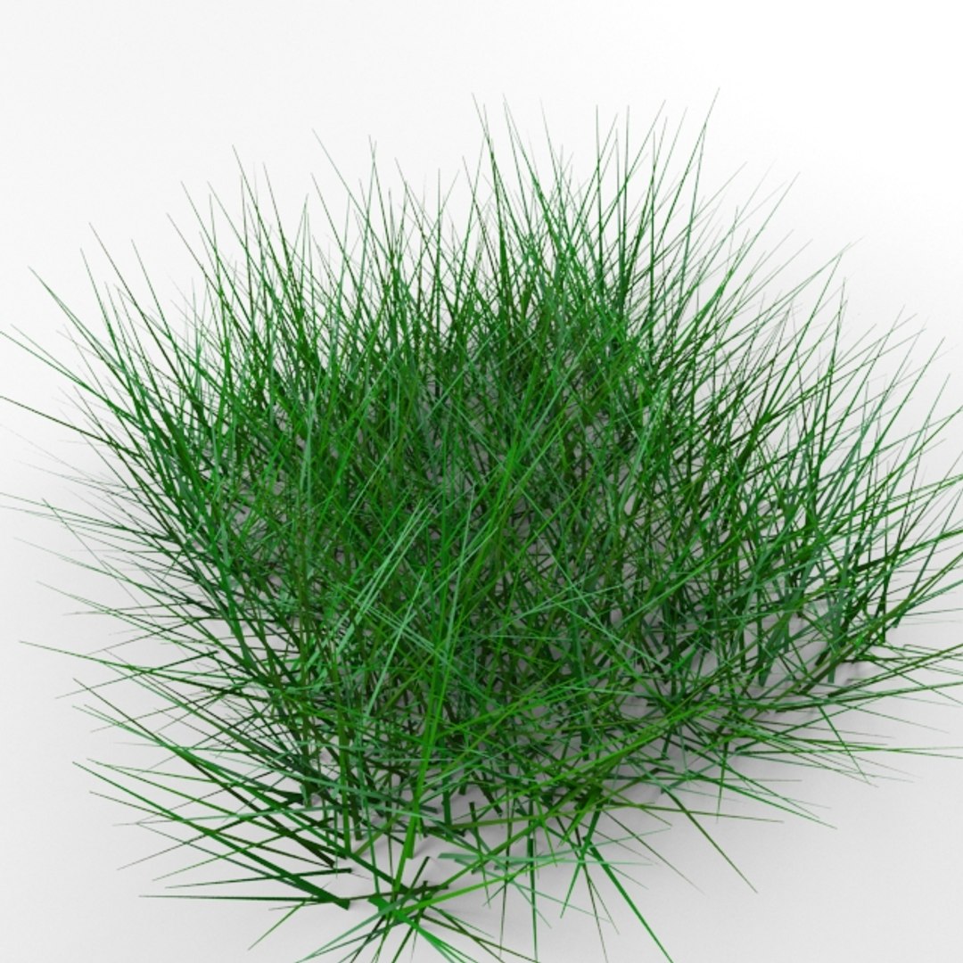 3d grass model