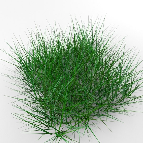 3d grass model