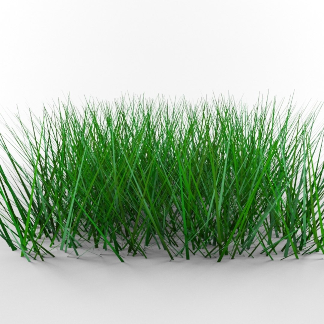 3d grass model