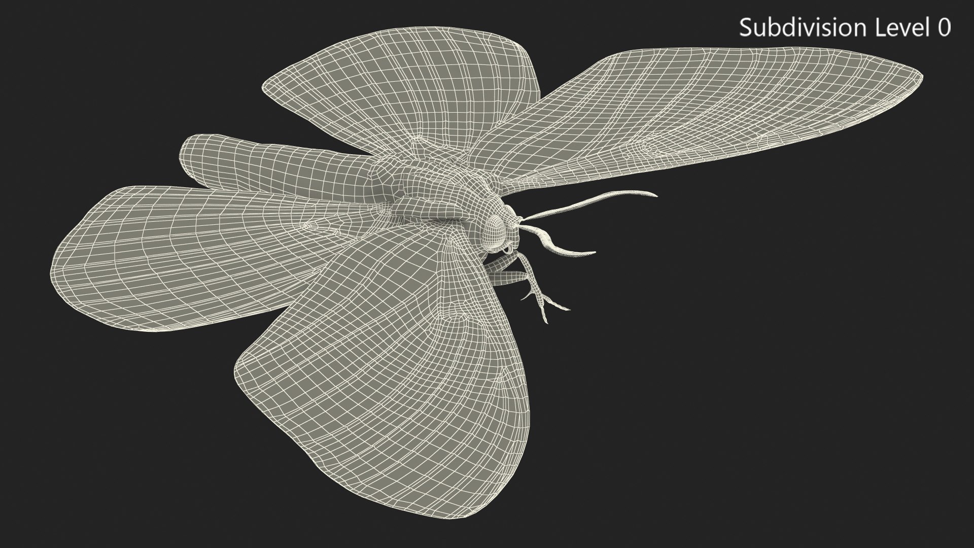 3D Owl Moth Model - TurboSquid 1778383
