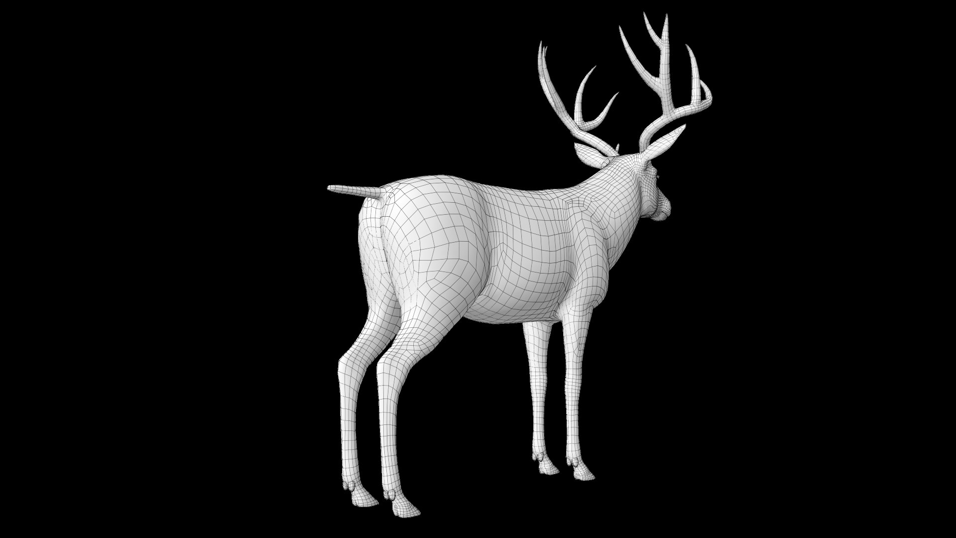 Mule Buck Fur 3D Model - TurboSquid 1470035
