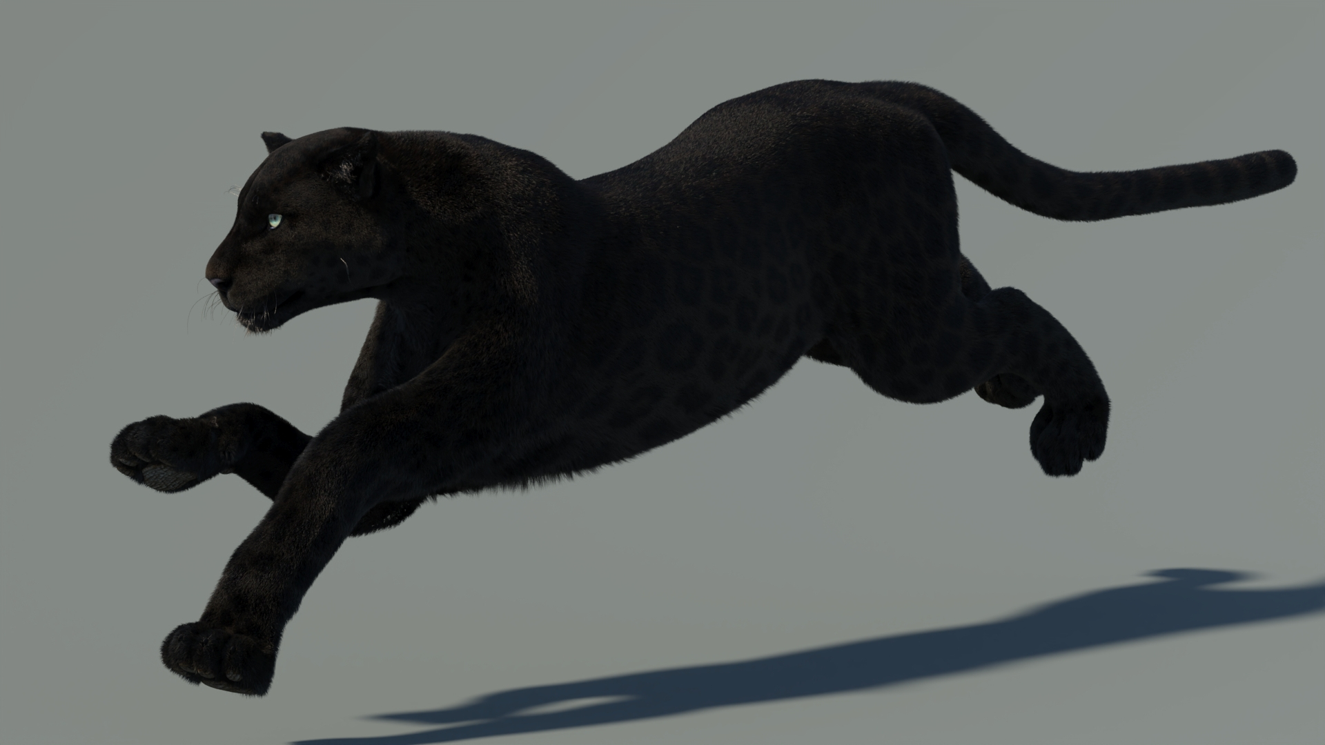 Animated Black Panther With Fur 3D Model Model - TurboSquid 2287451