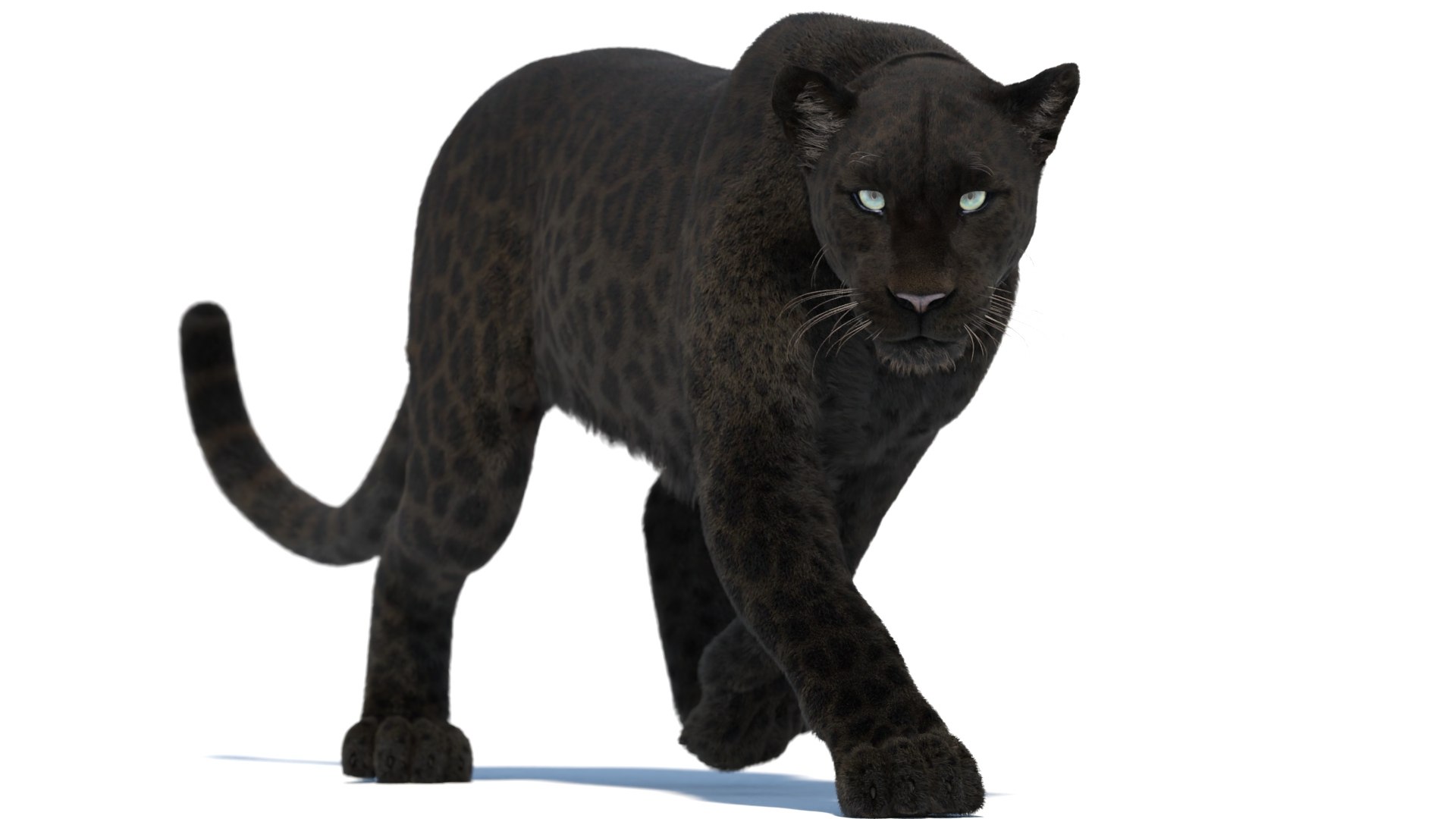 Animated Black Panther With Fur 3D Model Model - TurboSquid 2287451