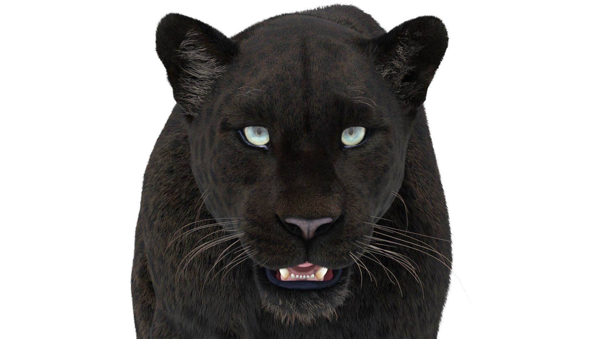 Animated Black Panther With Fur 3D Model Model - TurboSquid 2287451