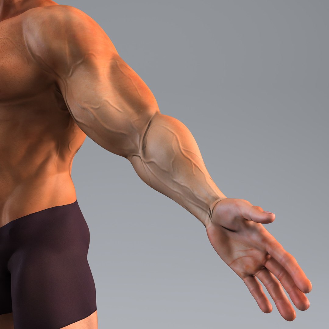 3d bodybuilder character man