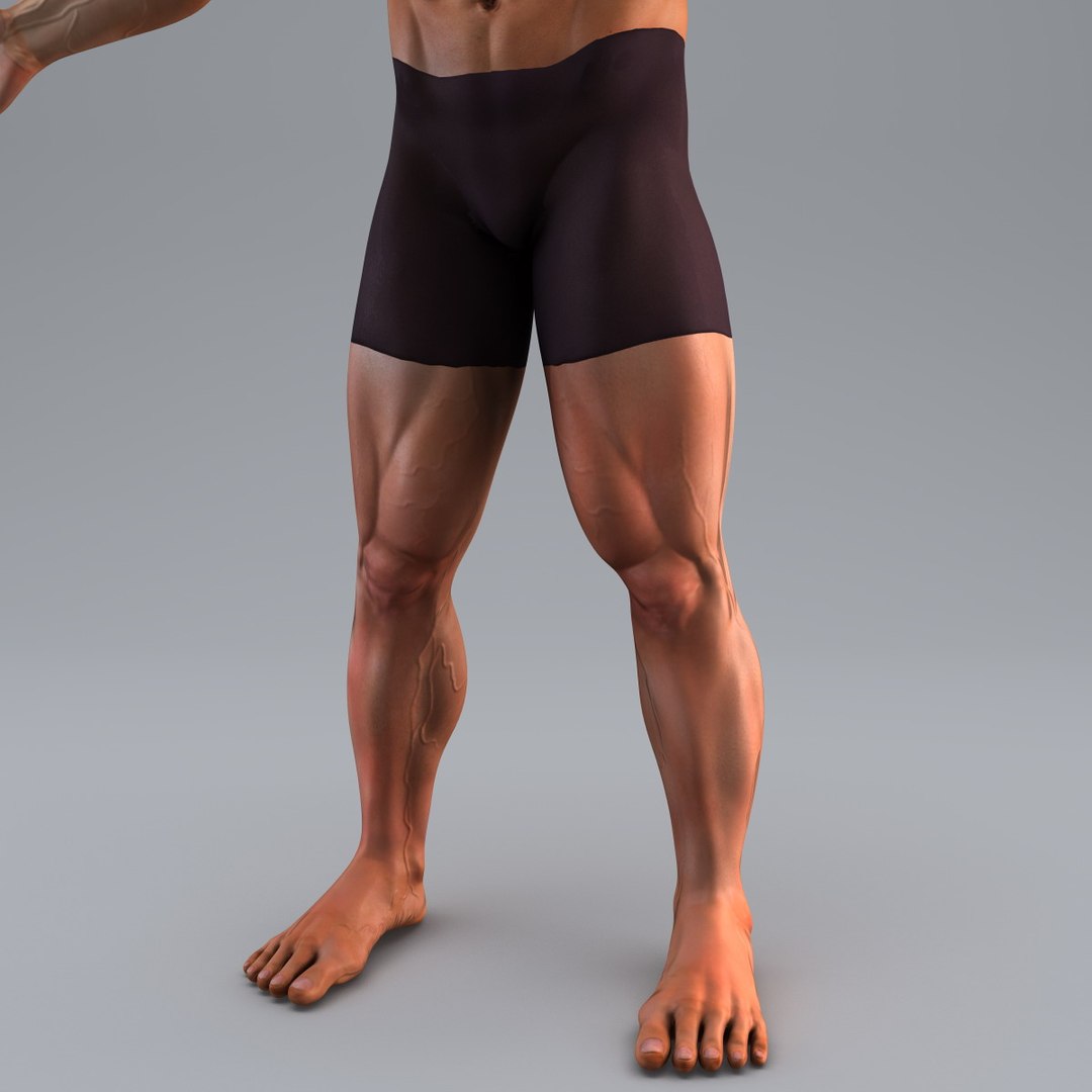 3d bodybuilder character man