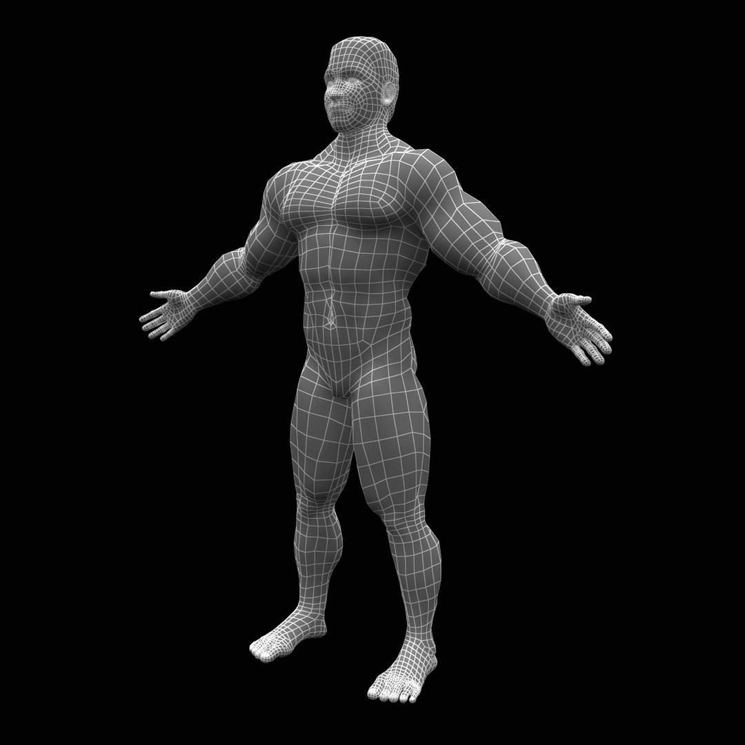 3d bodybuilder character man