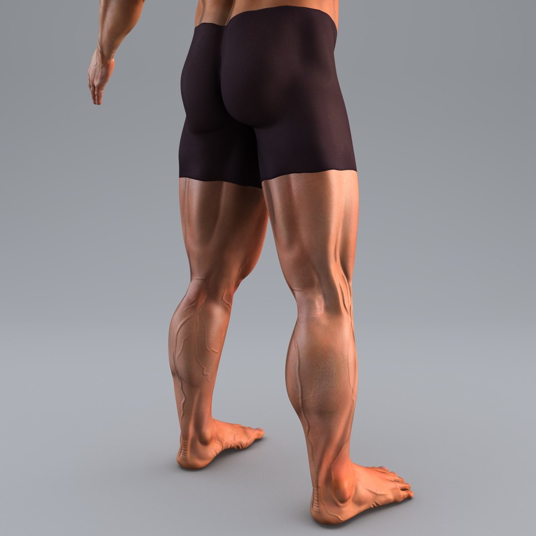 3d bodybuilder character man