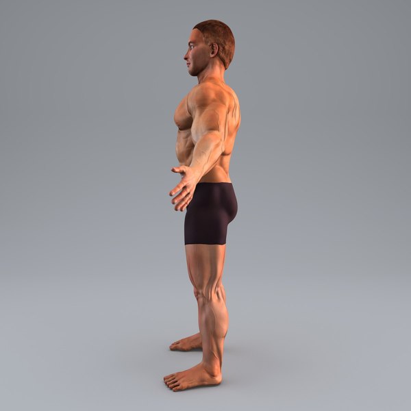 3d bodybuilder character man