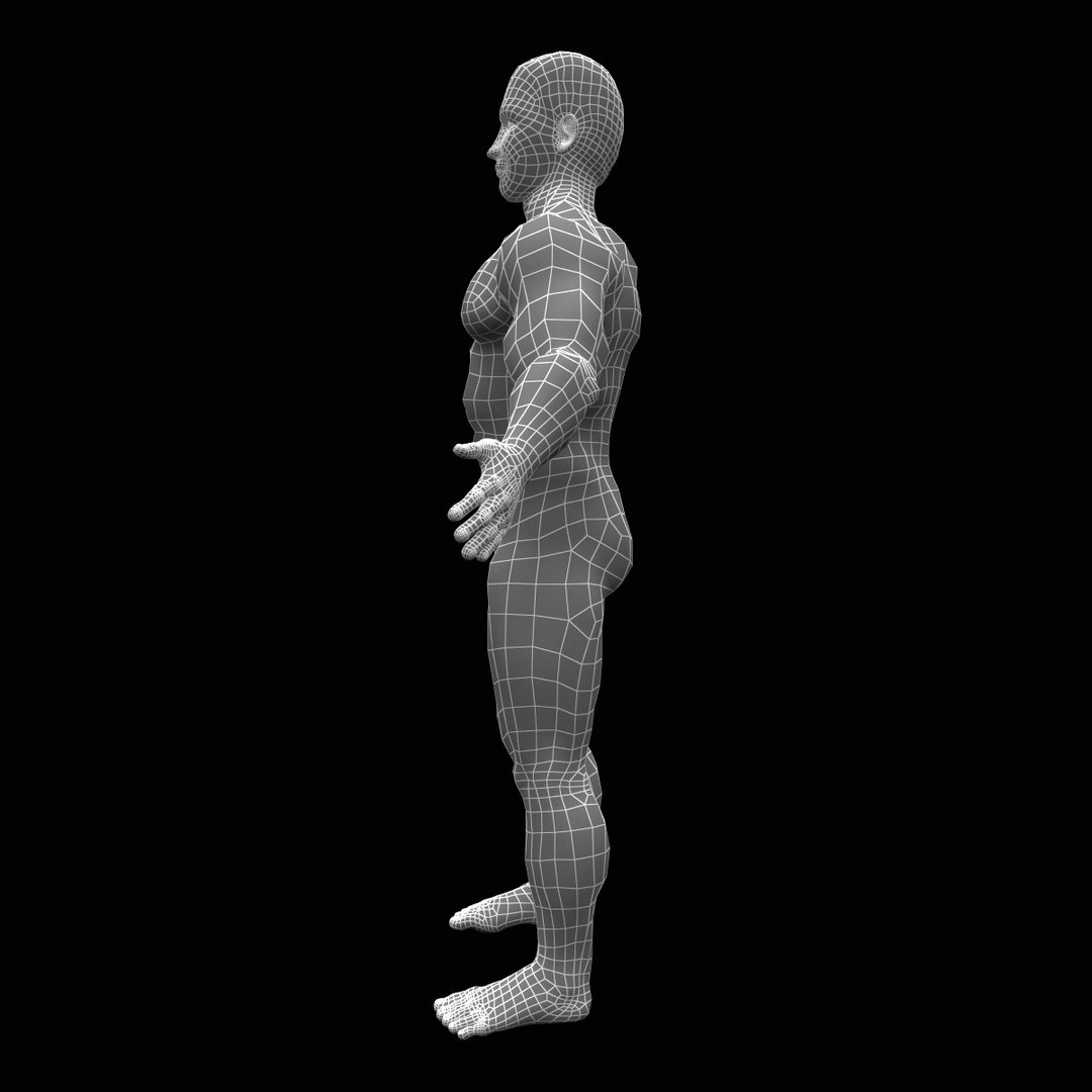 3d bodybuilder character man