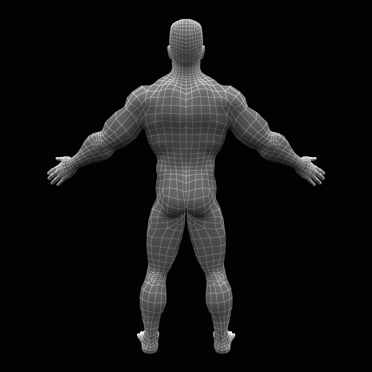 3d bodybuilder character man