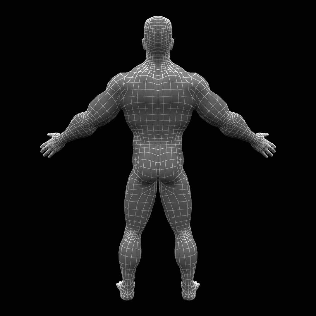 3d bodybuilder character man