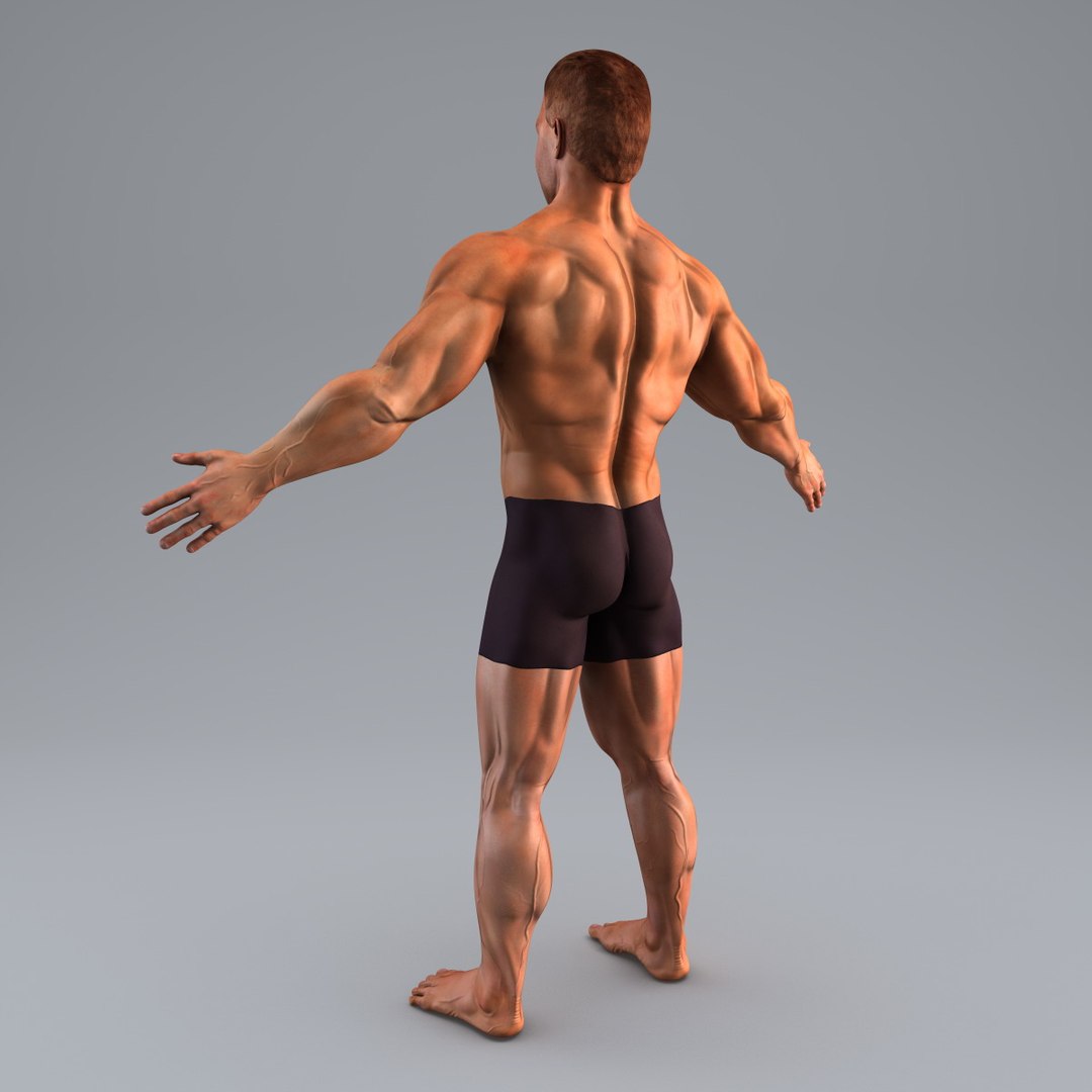 3d bodybuilder character man