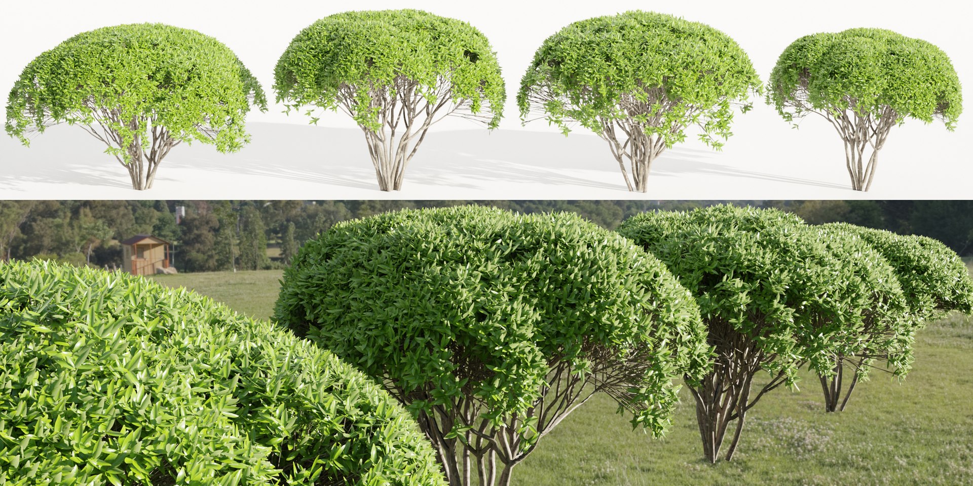 3D Green Bushes collection vol 193-Blender - TurboSquid 2173375