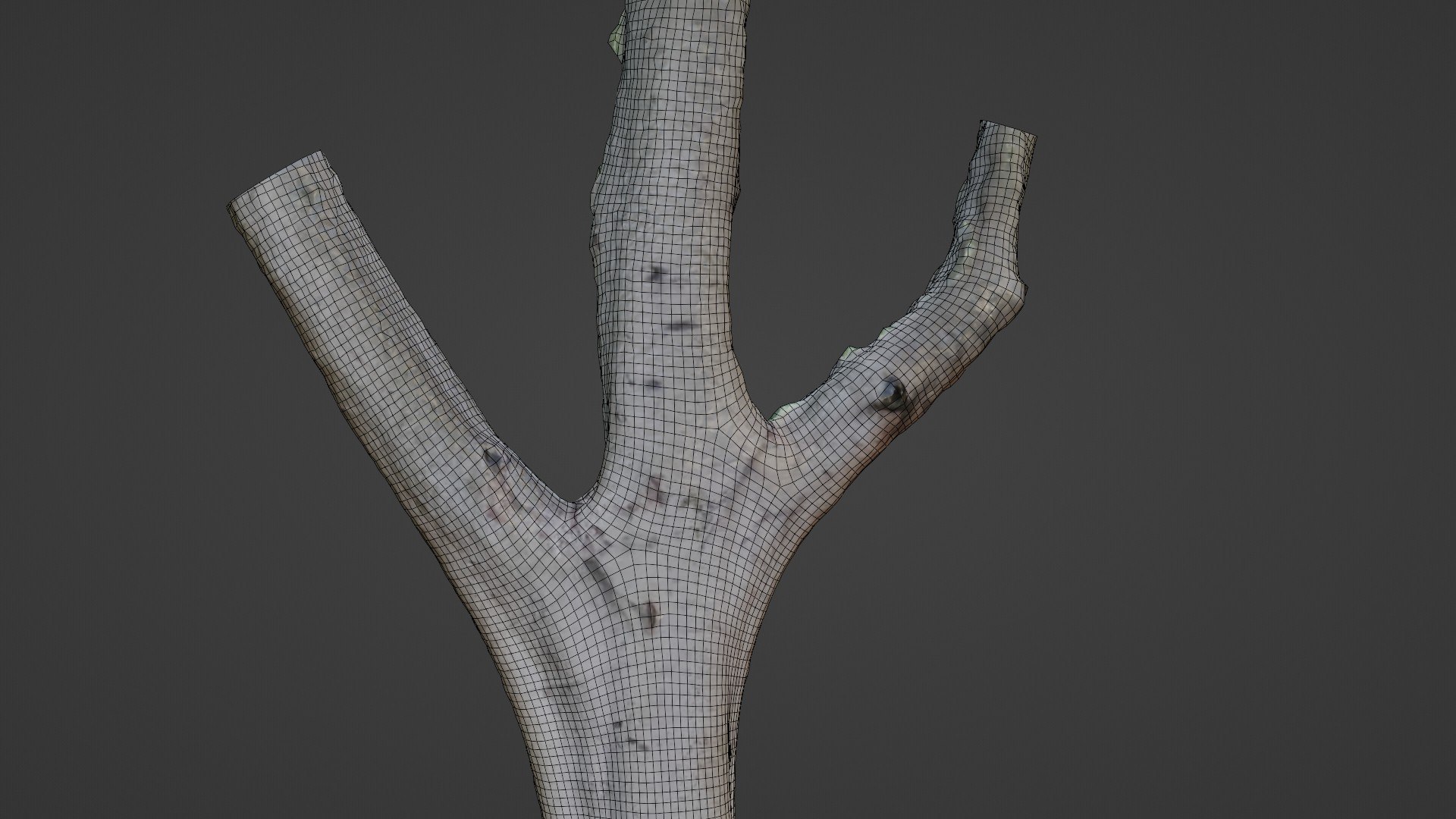 Tree Trunk Split Scan 3D Model - TurboSquid 2329904