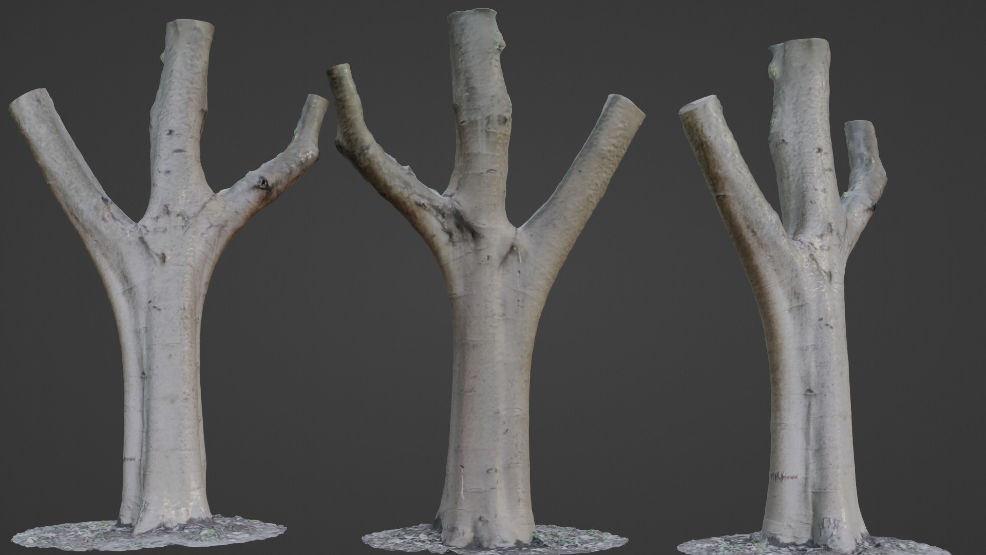 Tree Trunk Split Scan 3D Model - TurboSquid 2329904
