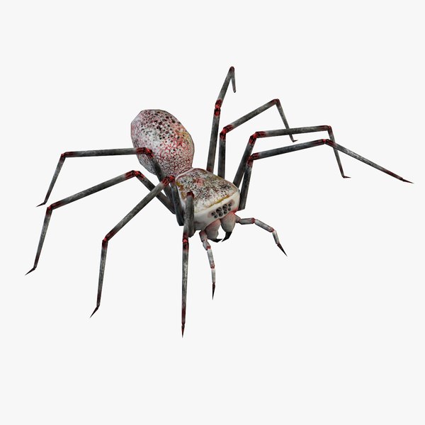Free Spider 3D Models for Download | TurboSquid