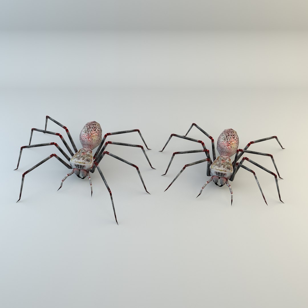 Free Spider 3d Model