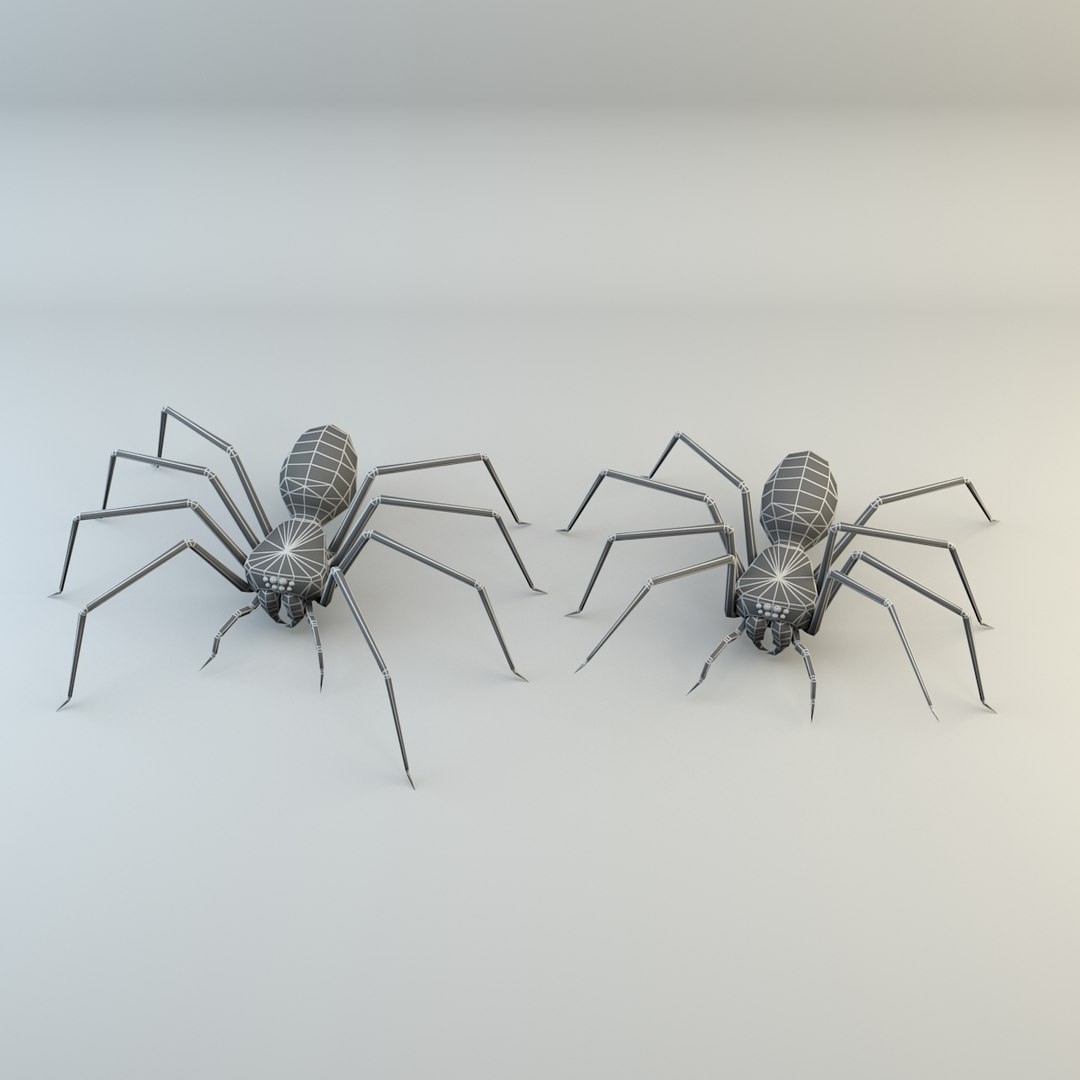 Free Spider 3d Model