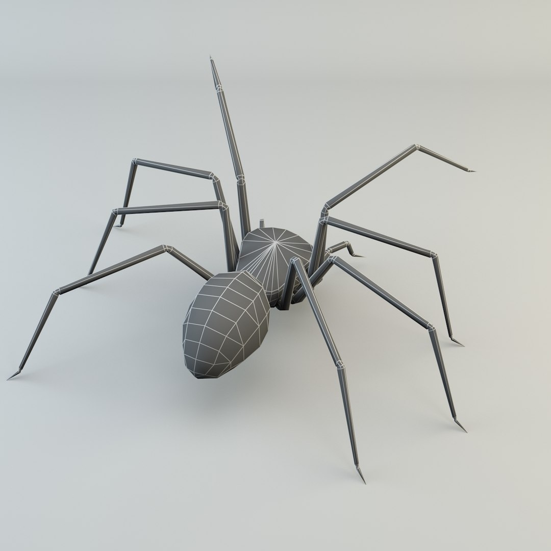 Free Spider 3d Model