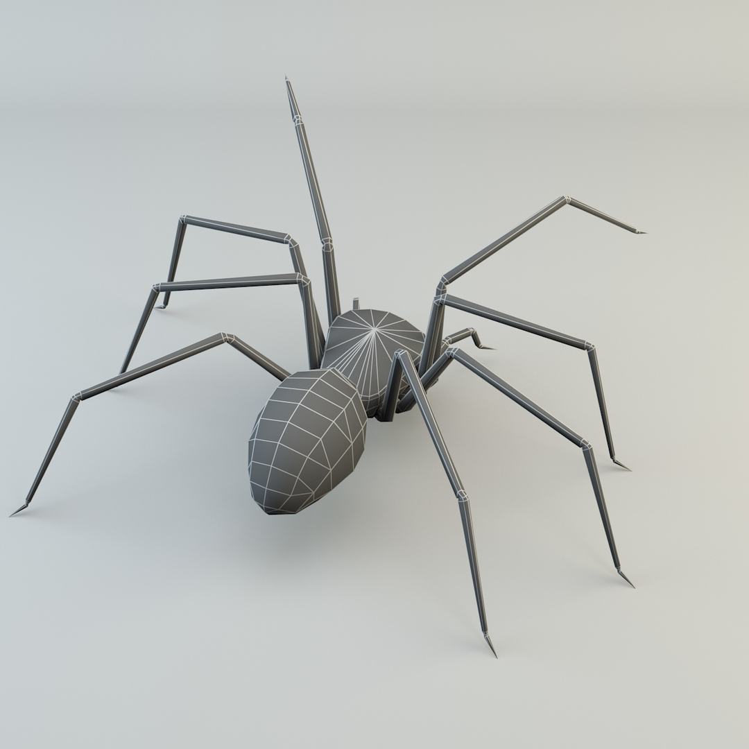 free spider 3d model