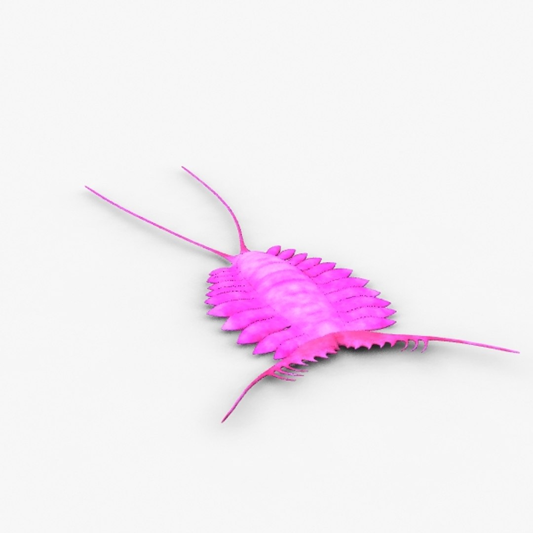 3d rigged animals cambrian