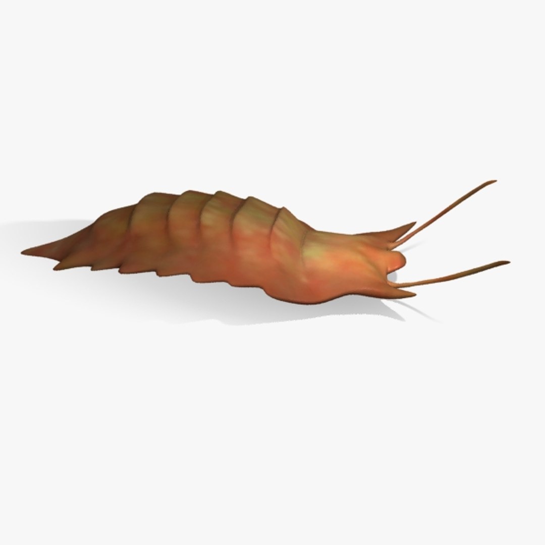 3d rigged animals cambrian