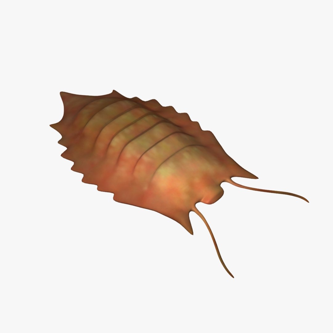 3d rigged animals cambrian