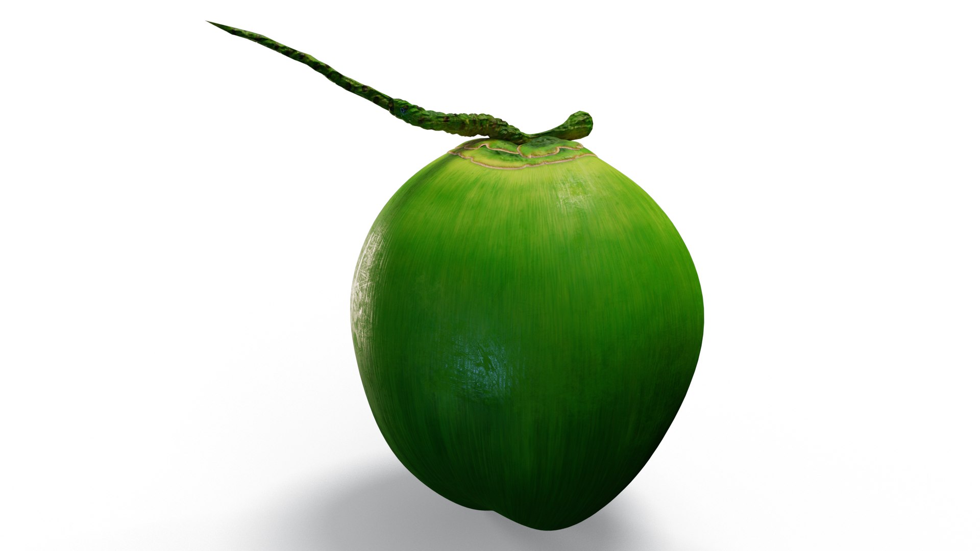 3D Coconut - TurboSquid 2008193