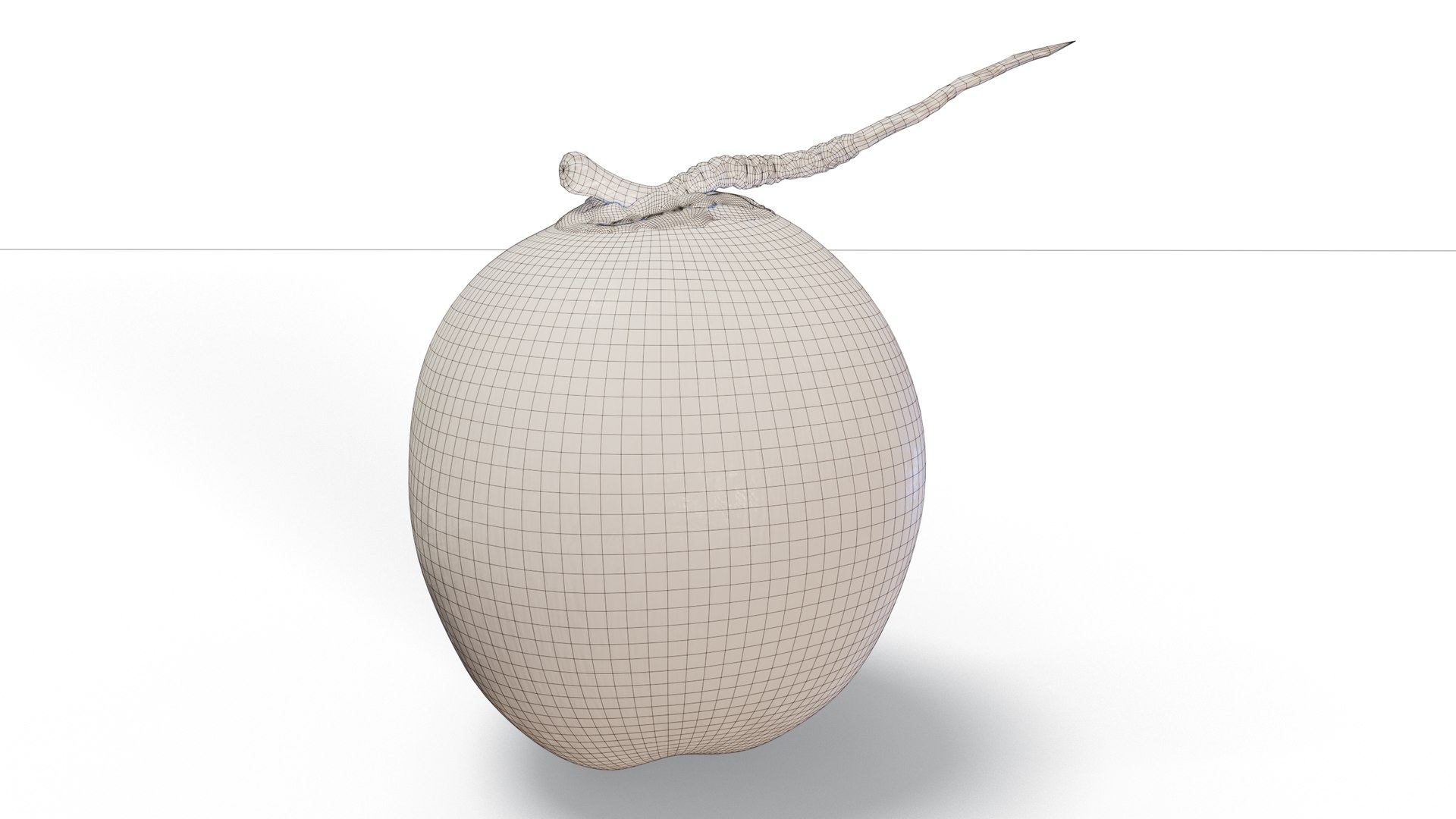 3D Coconut - TurboSquid 2008193