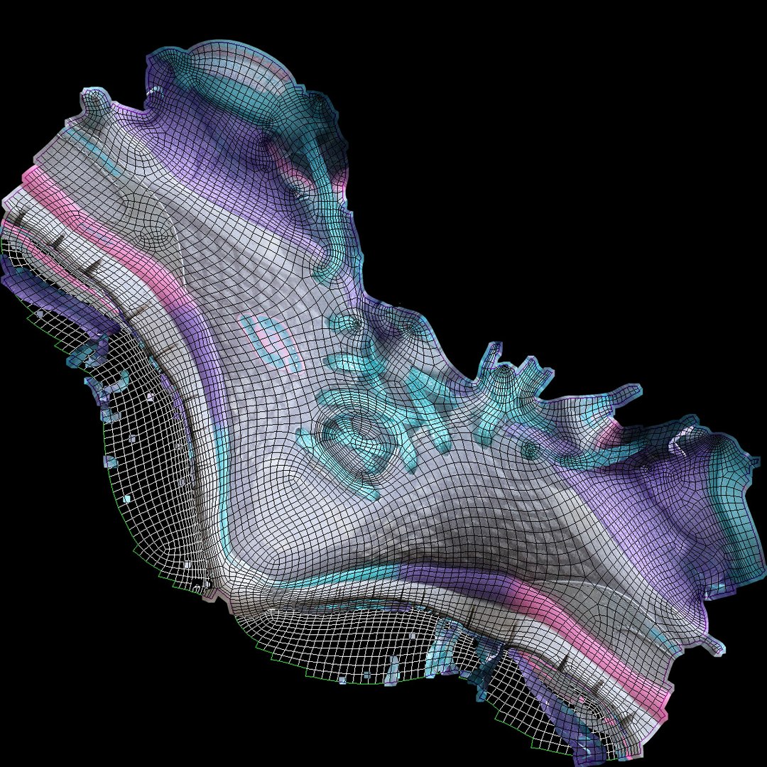 3D Model Girl Skechers - TurboSquid 1345277