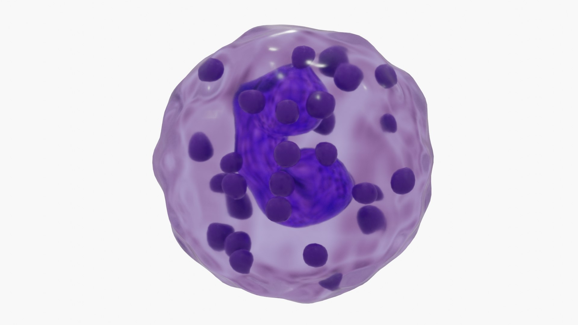 Blood Cells 3D Model - TurboSquid 1720612