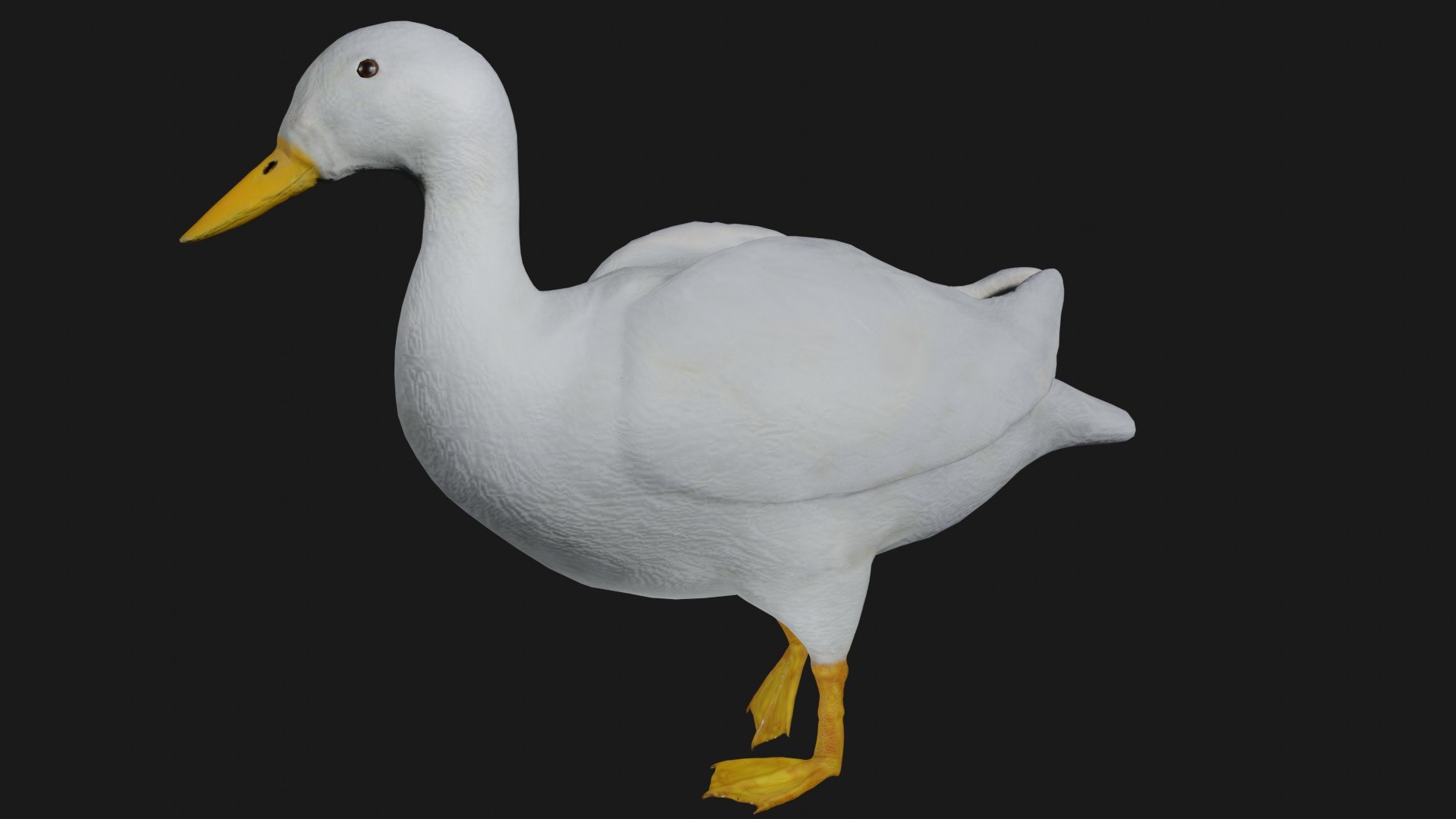 3D Duck Rigged White Mallard - TurboSquid 1657259