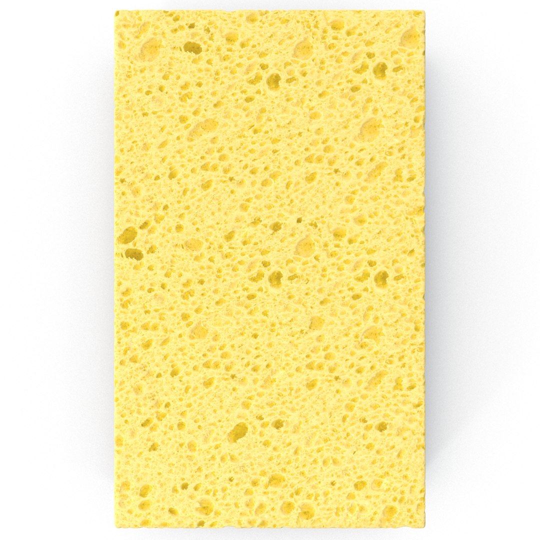 sponge cleaning 3d max