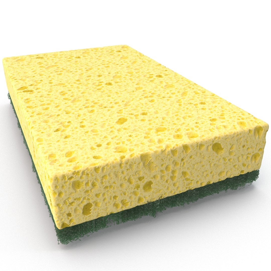 Sponge Cleaning 3d Max