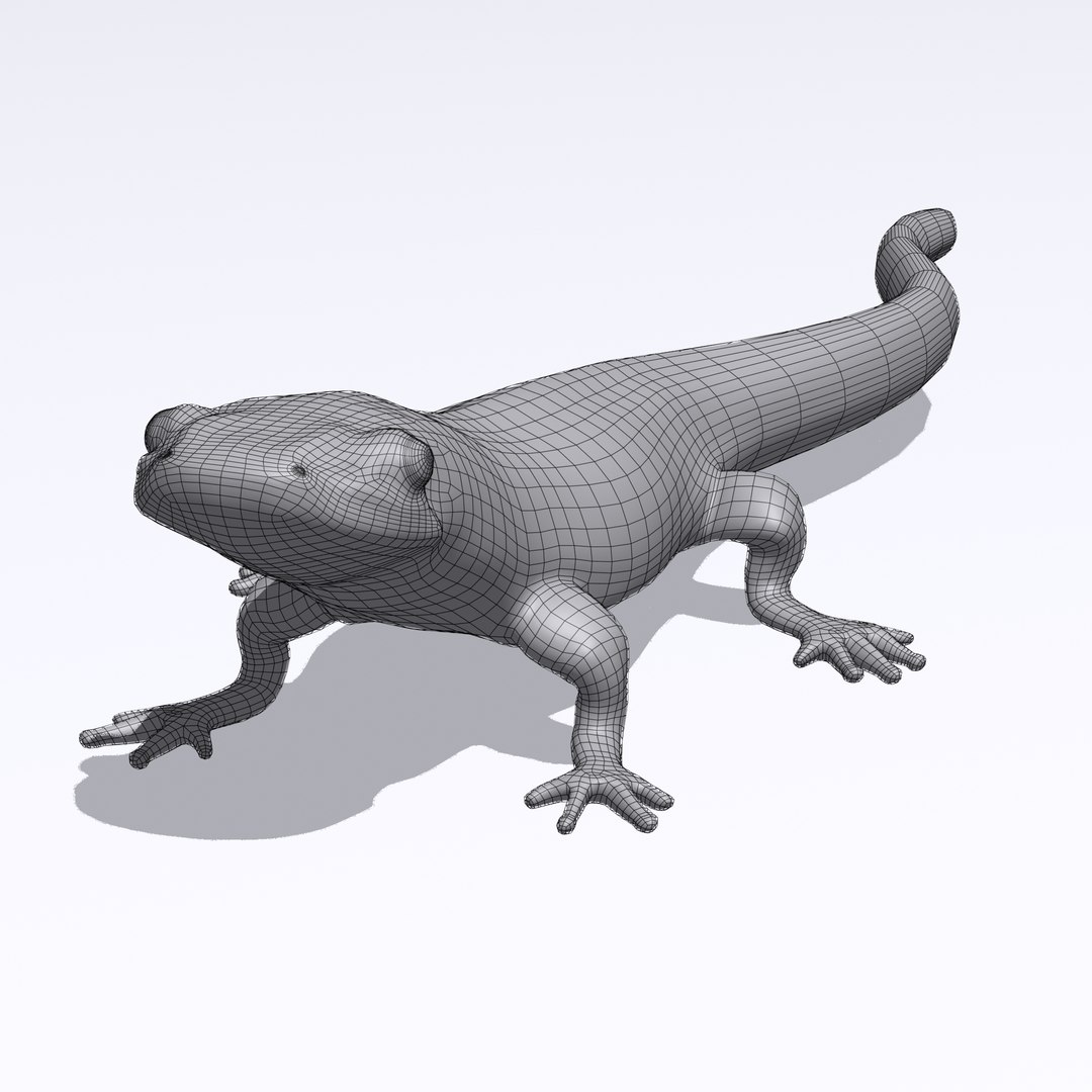 3D Eastern Newt - TurboSquid 1194124