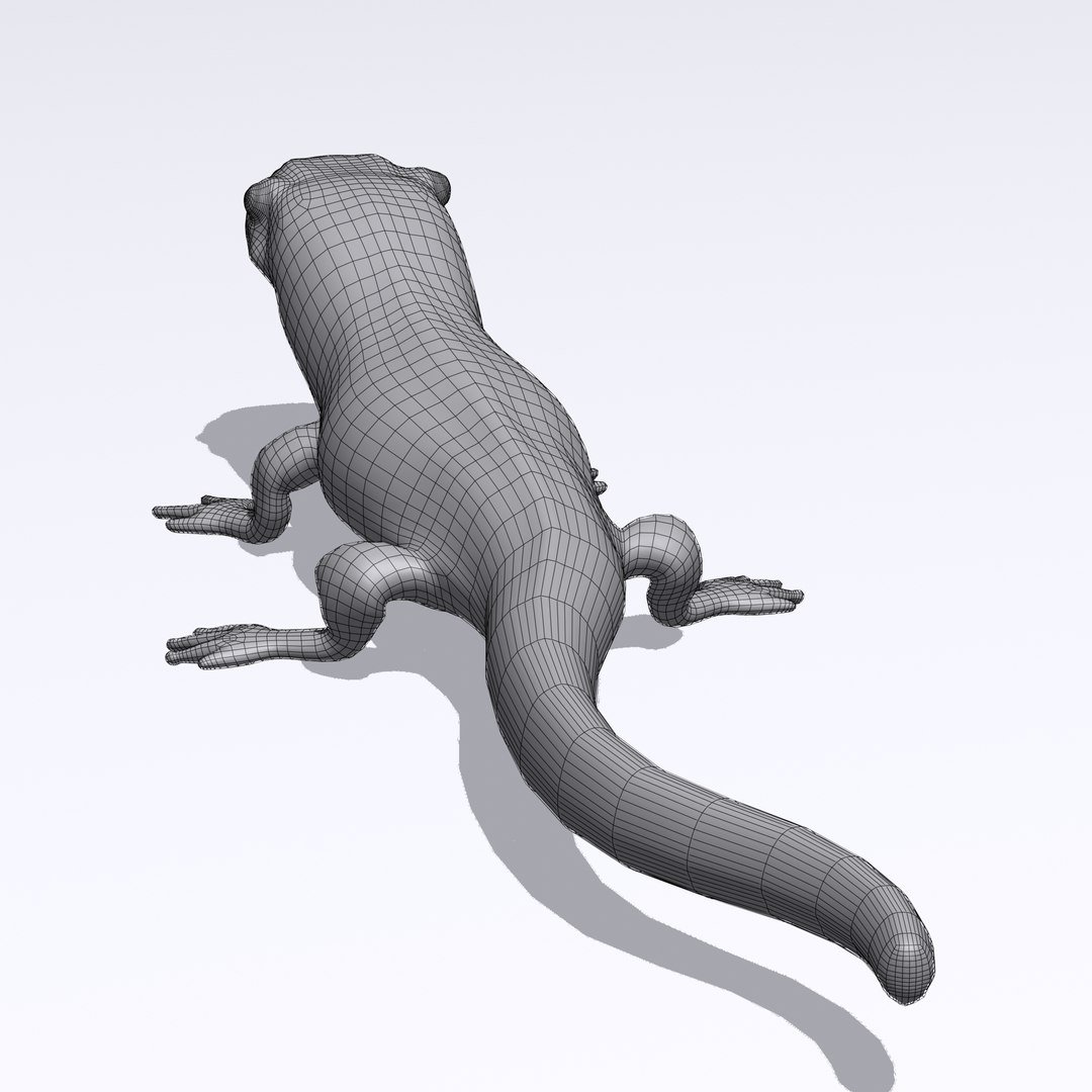 3D Eastern Newt - TurboSquid 1194124