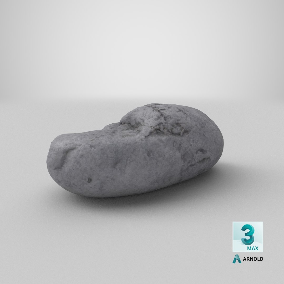 3D Sea Shore Stone 29 - TurboSquid 1958921