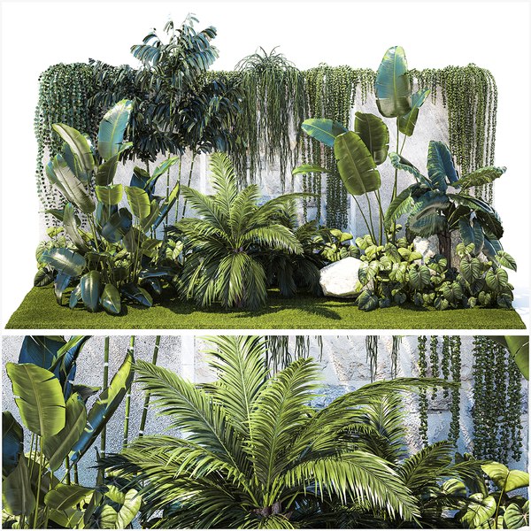 modelo 3d Jardín con plantas exóticas Strelitzia Ravenal palmera ...