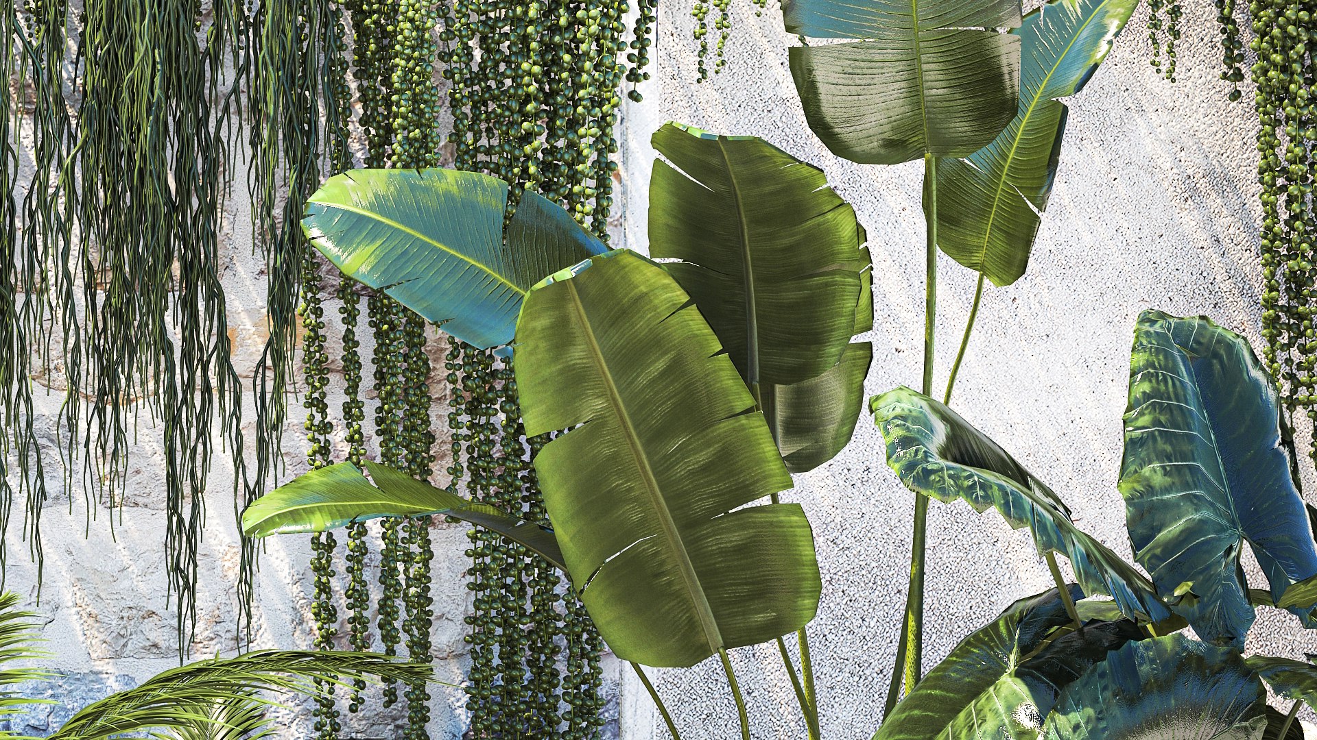 Garden With Exotic Plants Strelitzia Ravenal Palm Model - TurboSquid ...