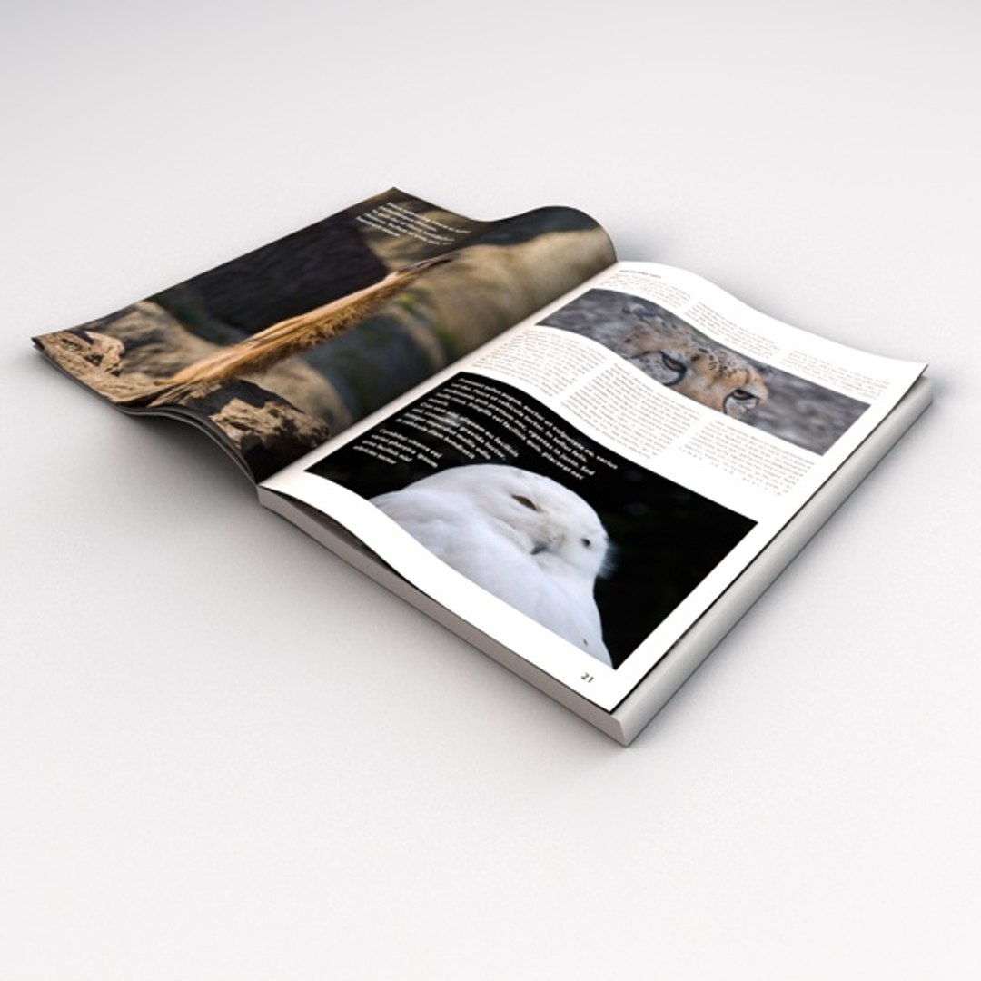 Open Magazine Book 3d Model