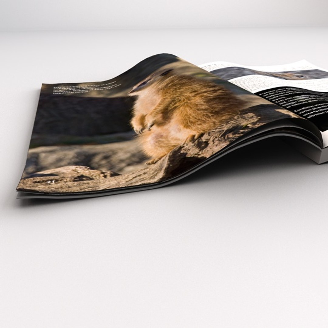 Open Magazine Book 3d Model