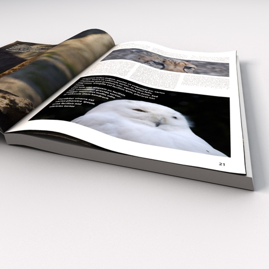 Open Magazine Book 3d Model