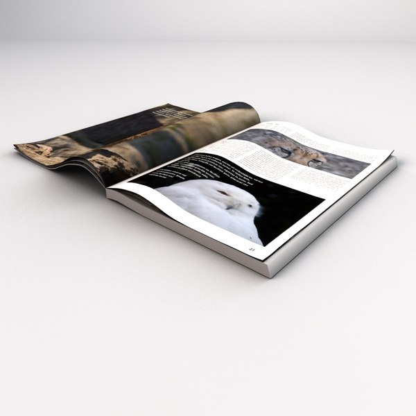 open magazine book 3d model