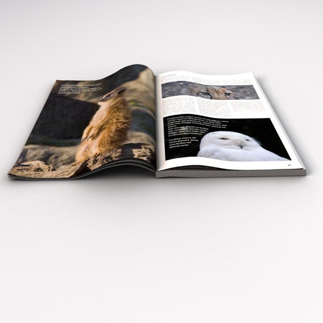 Open Magazine Book 3d Model
